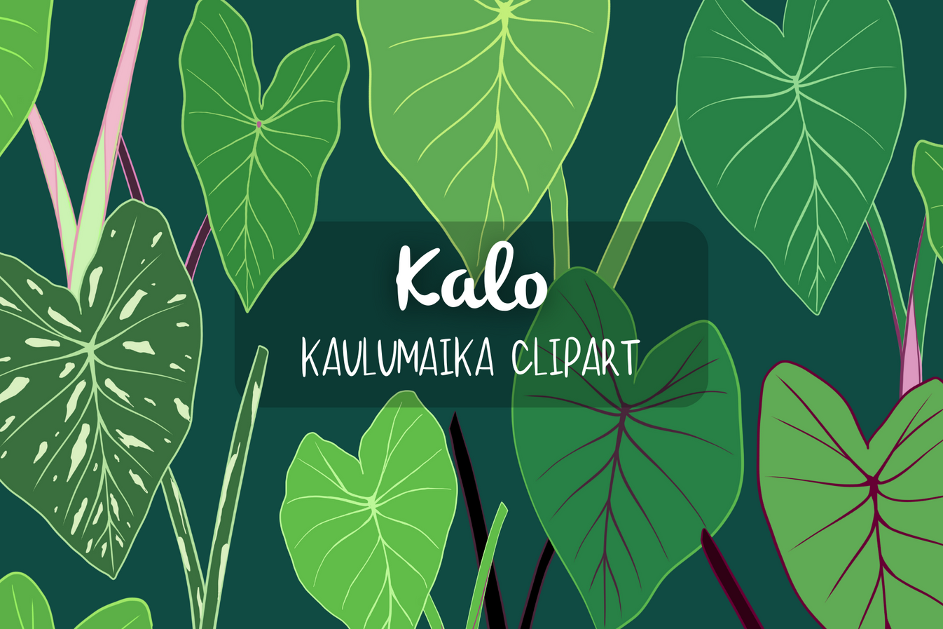 Kalo Clipart – Kaulumaika