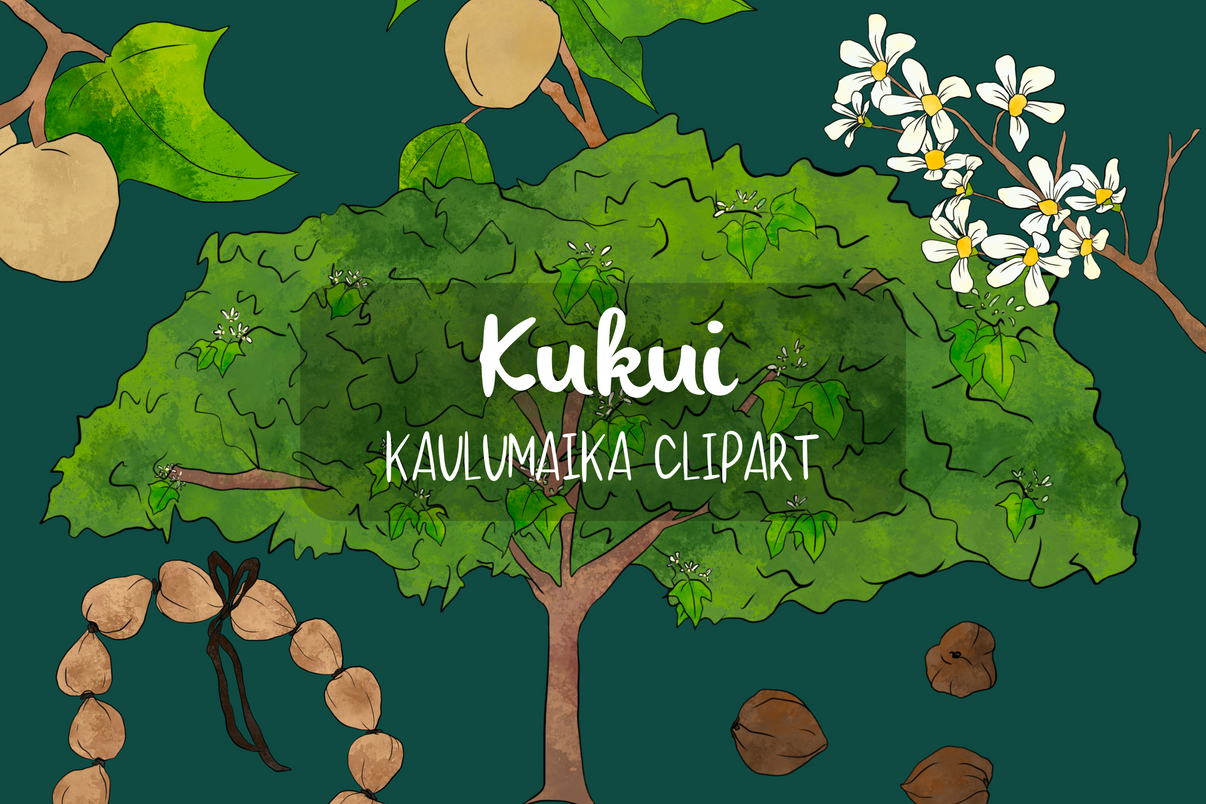 Kukui Clipart – Kaulumaika